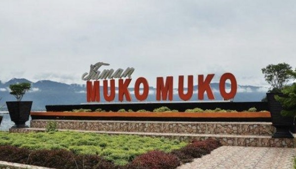 Muko Muko ! Asalnya dari Penampakan Pohon Besar di Pantai Seperti Muka ...