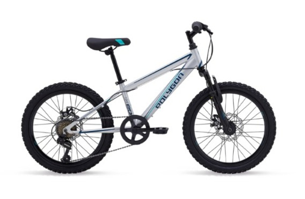 Sepeda Polygon MTB Anak: Pilihan Terbaik untuk Hadiah Anak Laki-Laki ...