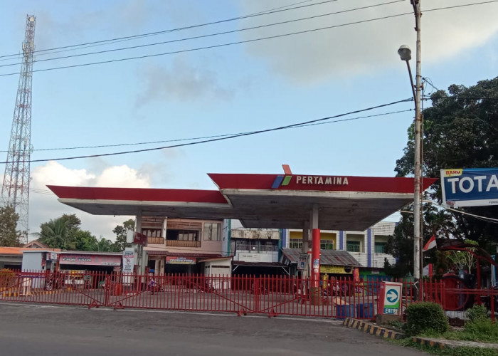 Minat Jadi Pembuat Game? 3 Kampus di Indonesia Ini Buka Jurusan Game Minat Jadi Pembuat Game? 3 Kampus di Indonesia Ini Buka Jurusan Game